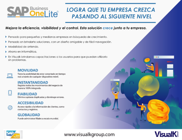 SAP Business One Lite, ERP para Pymes - VisualK Group