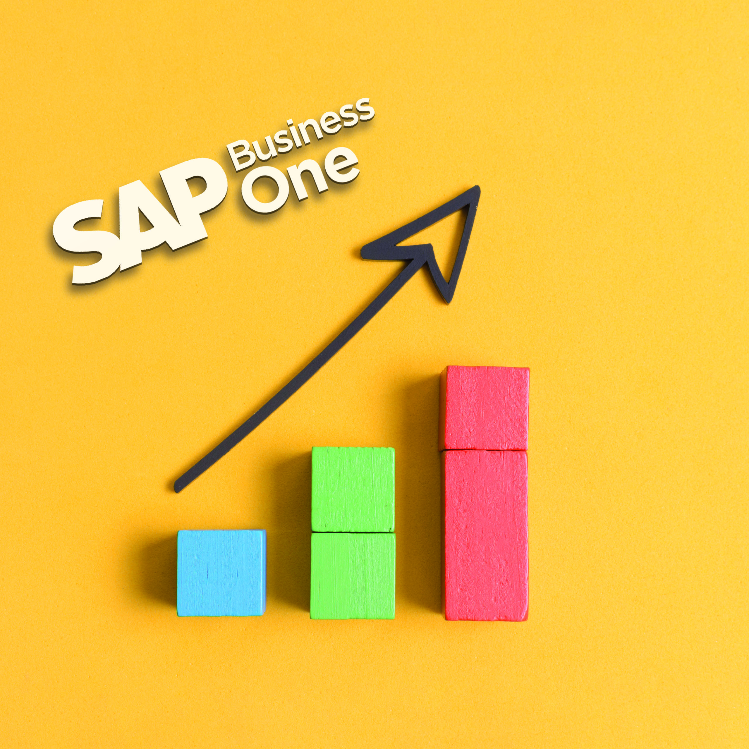 Gestiona tus finanzas con SAP Business One - VisualK Group